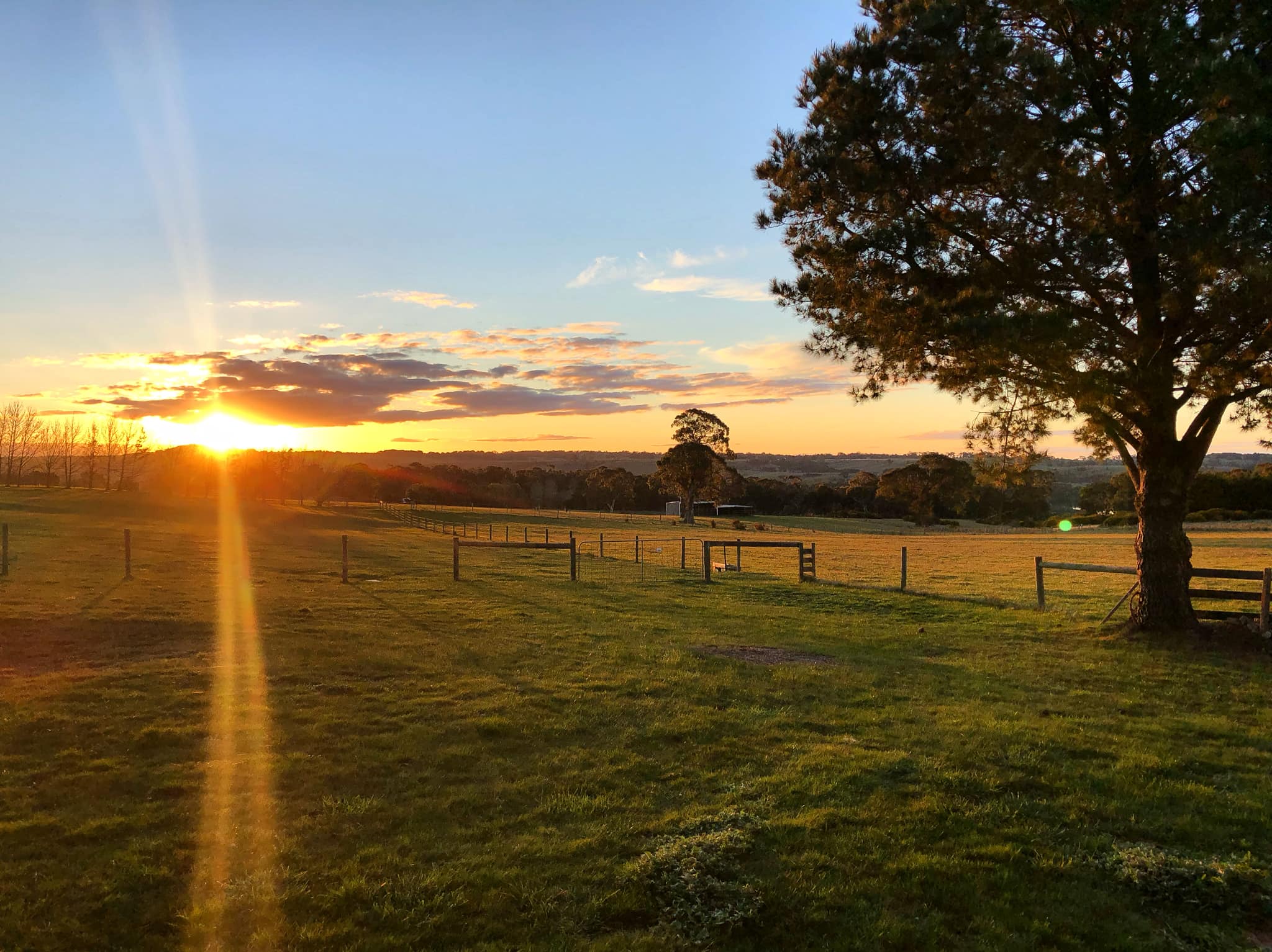 Take a look | 3 Bears Farm